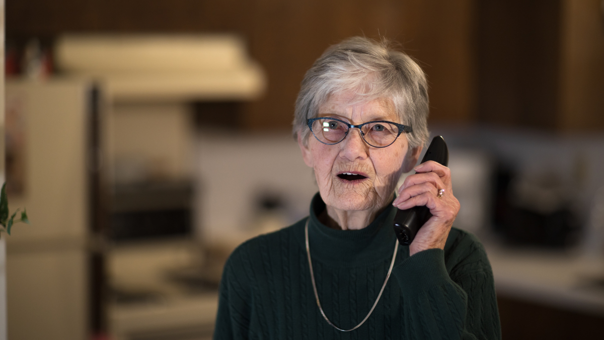 How Can Landline Call Blockers Protect Vulnerable Households from Frau.